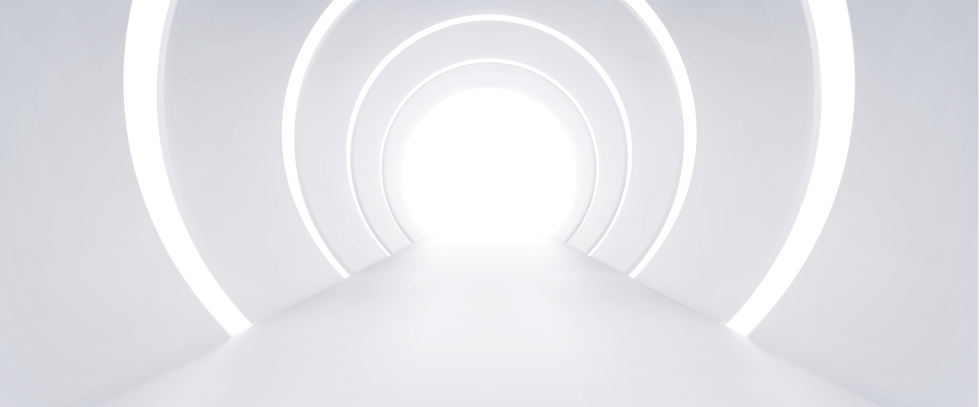 BAISS - Private on-device AI